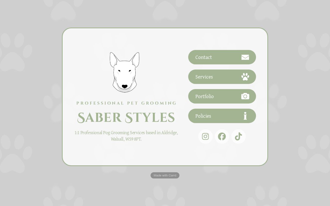 Saber Styles